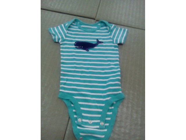 BODY CARTERSS 6 M