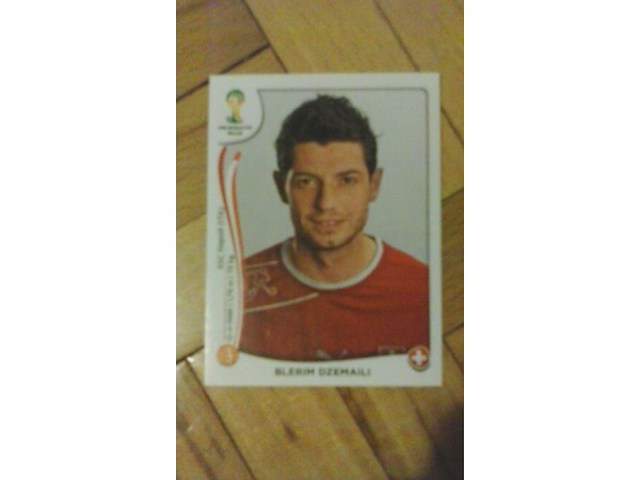 Panini FIFA 2014 Brazil sličica broj 348