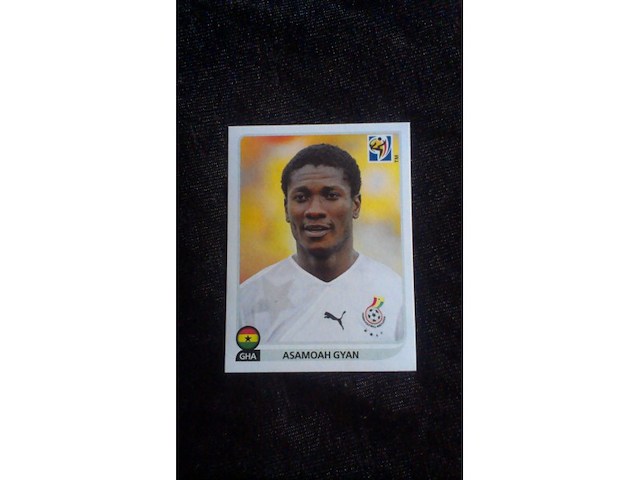 Panini FIFA 2010 J.Afrika sličica broj 331