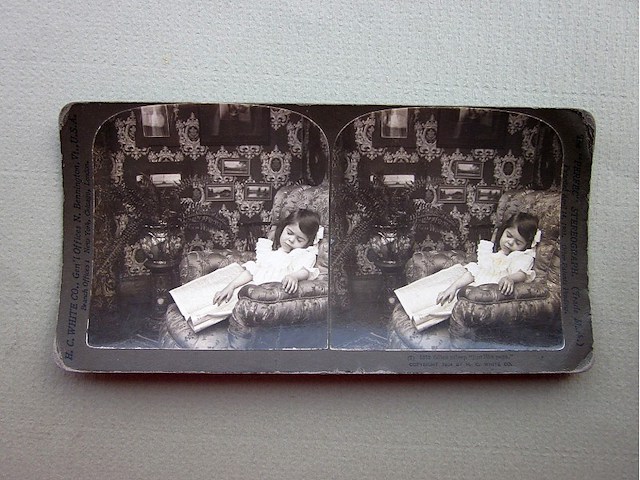 H. C. White Company stereoskop slika 5252