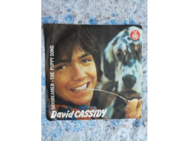 David Cassidy-THE PUPPY SONG.....