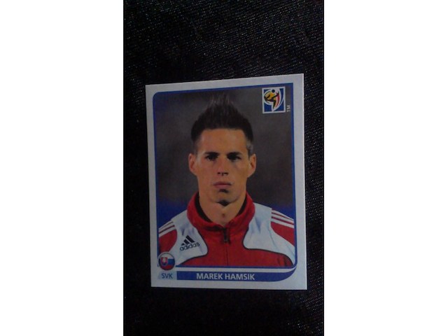 Panini FIFA 2010 J.Afrika sličica broj 480