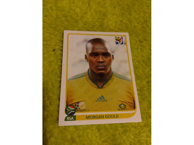 Panini FIFA 2010 J.Afrika sličica broj 036