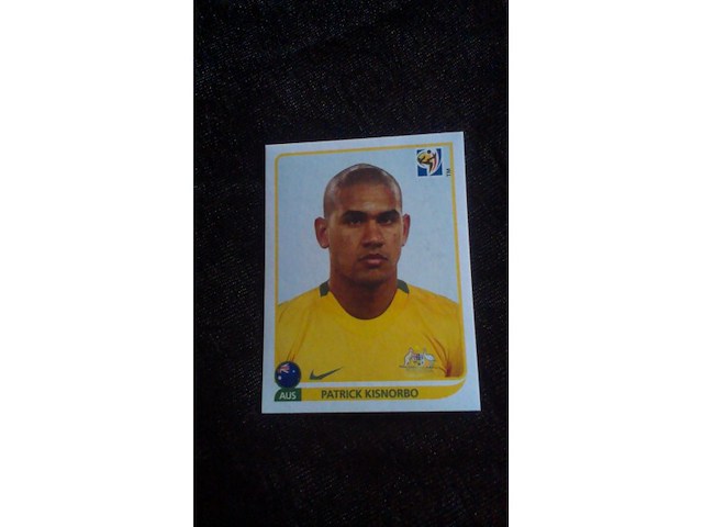 Panini FIFA 2010 J.Afrika sličica broj 282