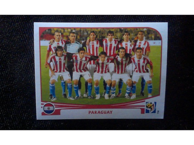 Panini FIFA 2010 J.Afrika sličica broj 429