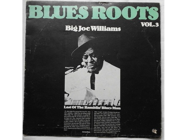 BIG JOE WILLIAMS - Last of the ramblin`blues man