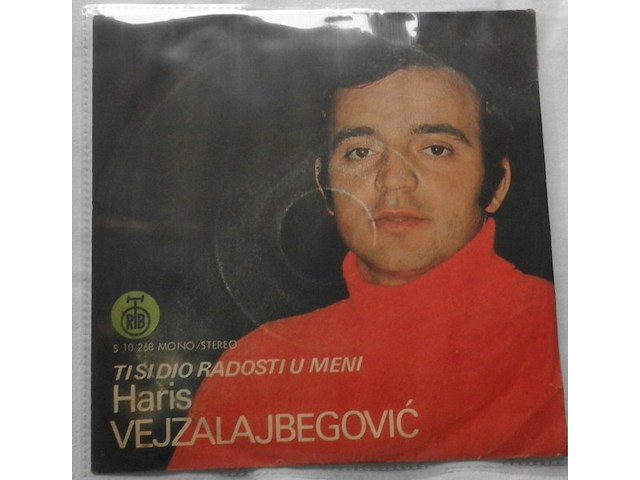 HARIS VEJZALAJBEGOVIC - Ti si dio radosti u meni