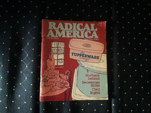 Radical America Vol14 No 6