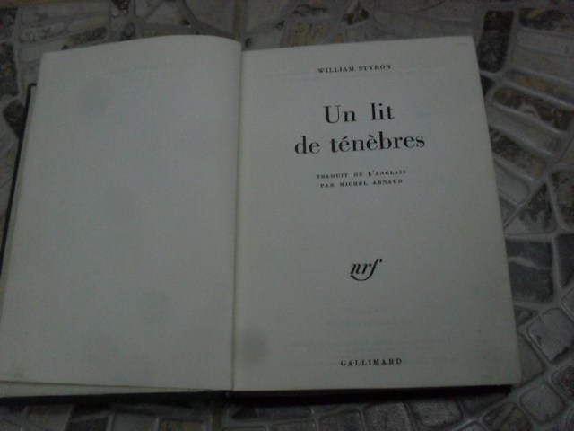 UN LIT DE TENEBRES - WILLIAM STYRON