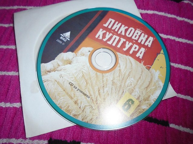 CD LIKOVNA KULTURA 6.razred BIGZ