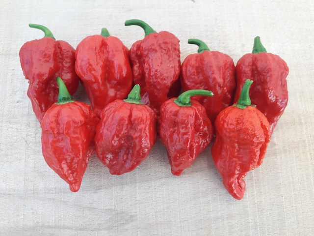 Fatalii (Red) - Chili pepper 20 semenki