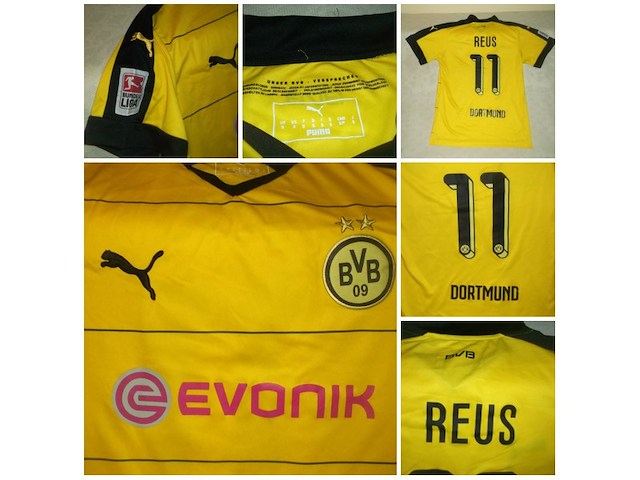 bvb reus