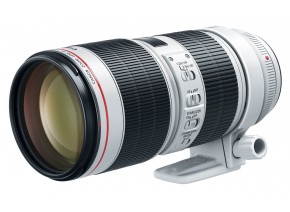 Canon EF 70-200mm f/2.8L IS III USM