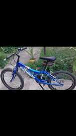 Plavi bicikl Capriolo diavolo 200