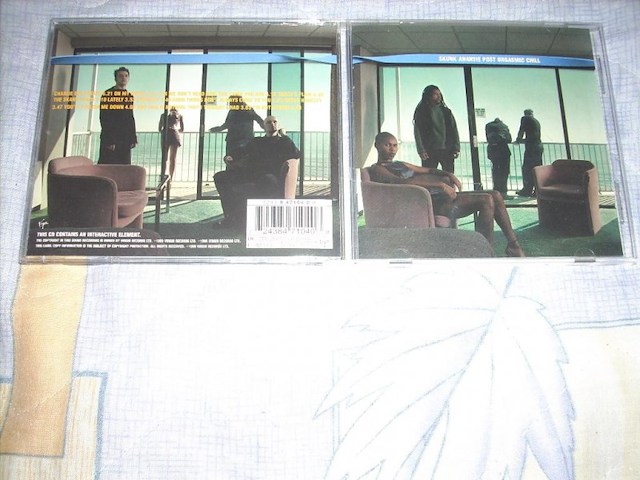 Skunk Anansie ‎– Post Orgasmic Chill CD Enhanced