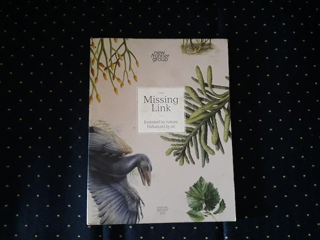 The Missing link/New frontier group