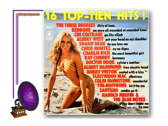 VARIOUS - 16 Top-Tien Hits! Vol. 1