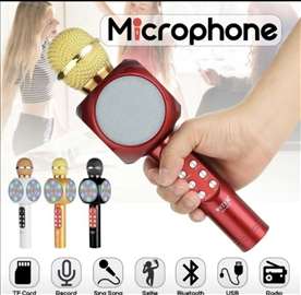 Karaoke-Bluetooth Mikrofon sa radijom