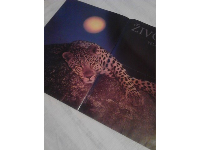POSTER..LEOPARD..GEPARD