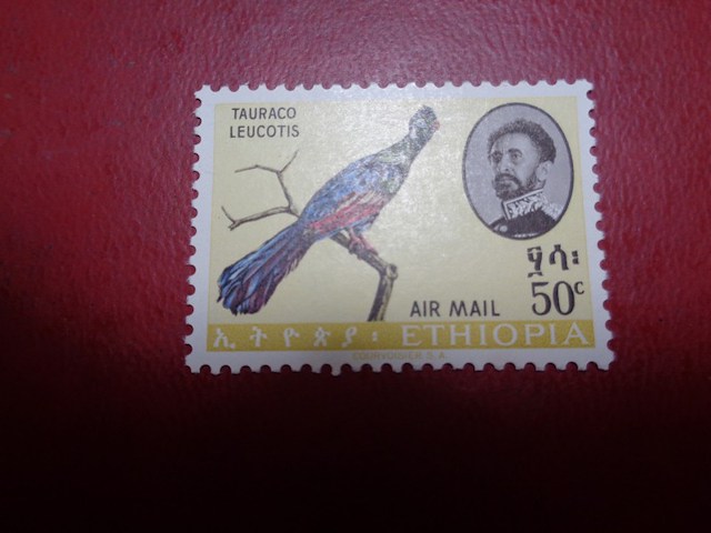 etiopija ptice život 110