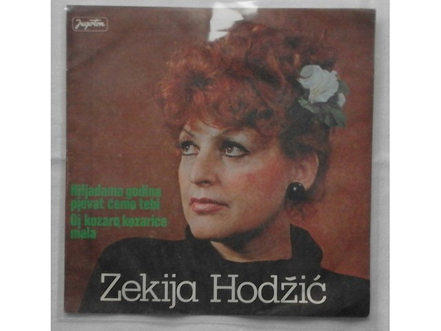 Zekija  Hodzic - Hiljadama godina pjevat cemo tebi