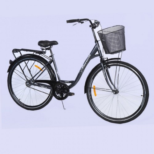 City Bike Zefirus 28in siva