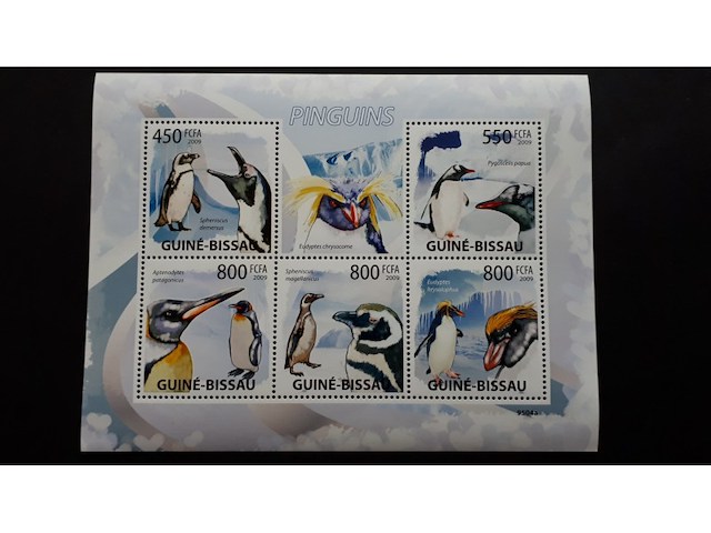 Fauna - Ptice (pingvini) - Gvineja Bisau 2009.**Čisto