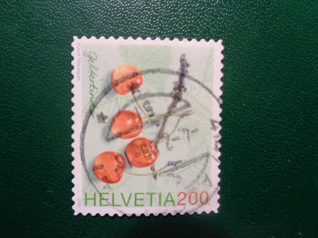 maraka 482 helvetia