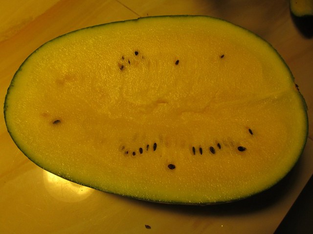 Žuta lubenica, seme, 5 komada