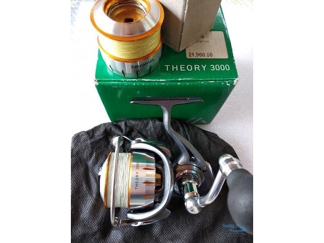 Daiwa Theory 3000