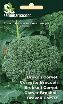 Brokoli Corvet seme
