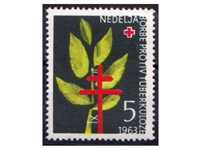 TUBERKULOZA 1963