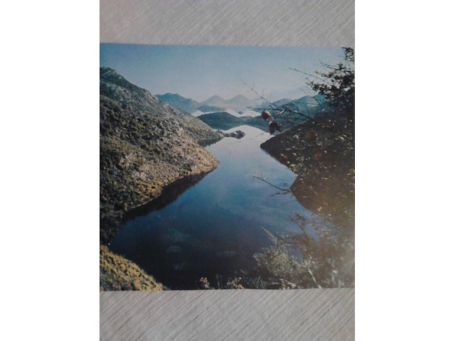 POSTERI..PRIRODA