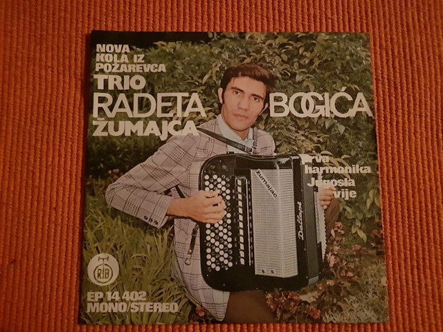 SINGL RADE BOGIC ZUMAJAC