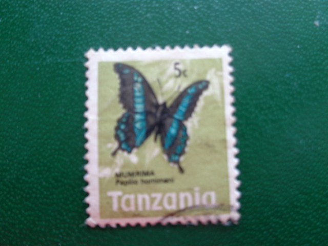 svet 11198 tanzania