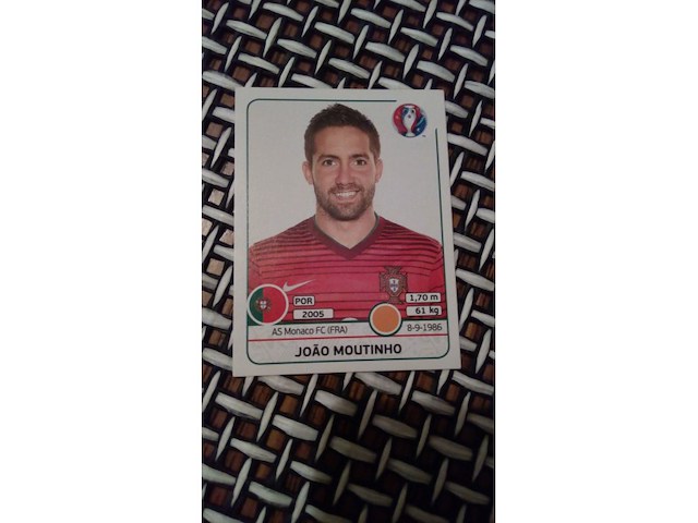 Panini EURO 2016 sličica broj 589