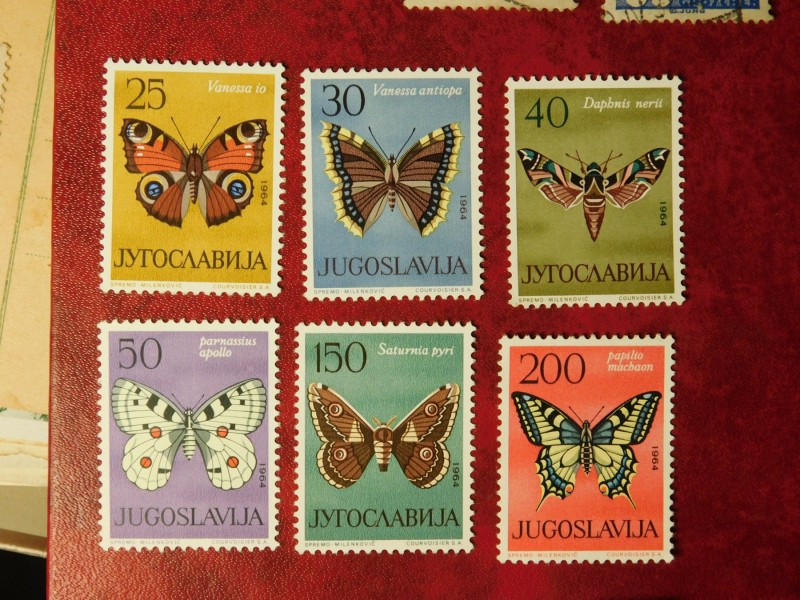 Juga 1964 ** - 12e