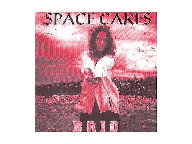 Space Cakes - Brid