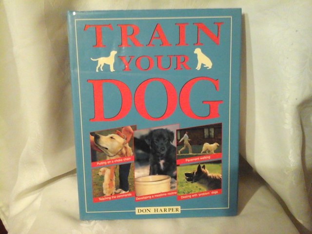 Train your dog Dresura psa na engleksom