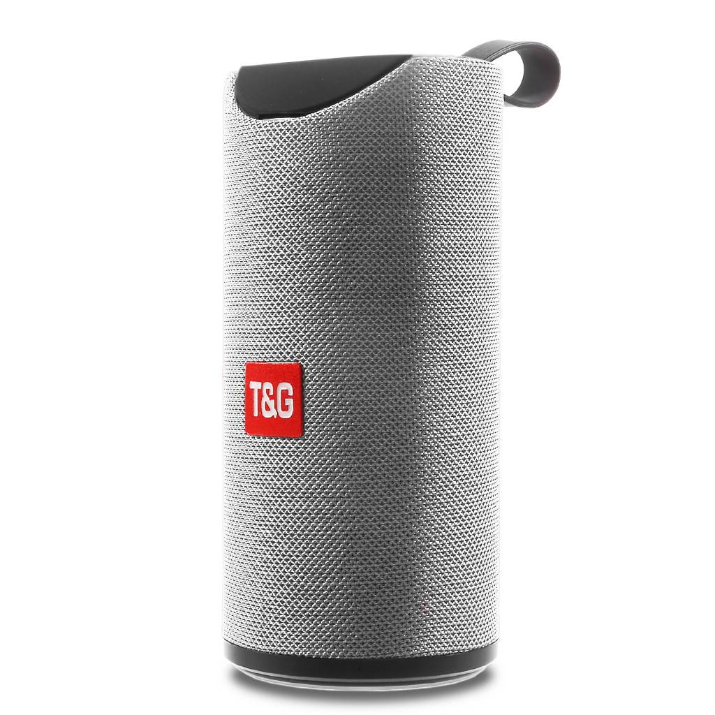 TG 113 bluetooth speaker (sivi)