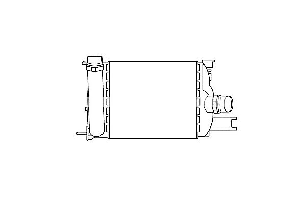Hladnjak vazduha Dacia Duster, 10-