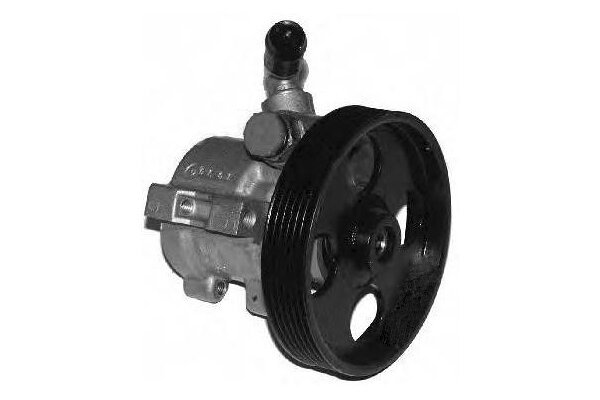 Servo pumpa Peugeot 306 93-