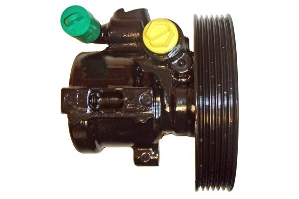 Servo pumpa Peugeot 406 95-04