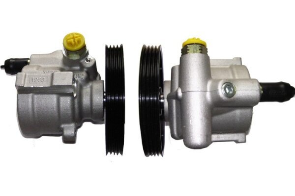 Servo pumpa Renault Clio 98-05