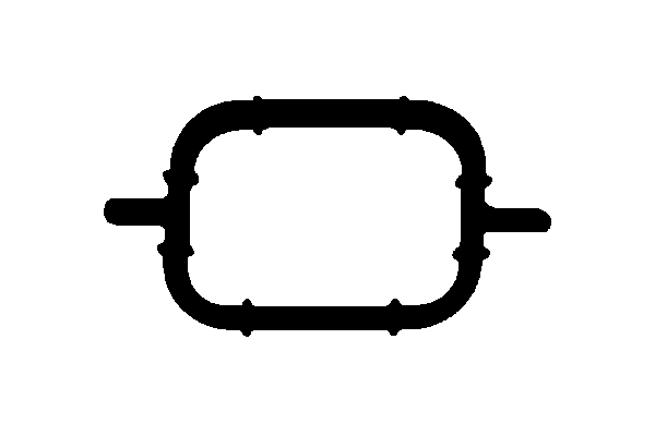 Zaptivač usisne grane BMW X5 99-13