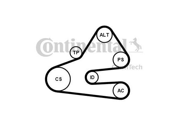 Mikro remen + zatezač 6PK1613K1 - Volkswagen Crafter 06-17