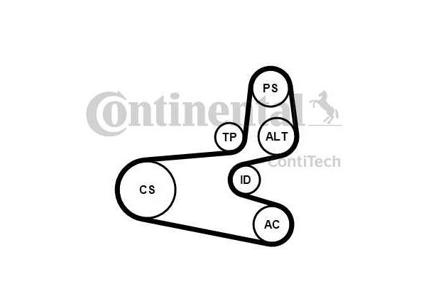 Mikro remen 6PK1560K1 - Peugeot Partner 96-12