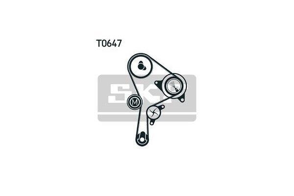 Set zupčastog remena 49446 - Mitsubishi, Opel, Renault