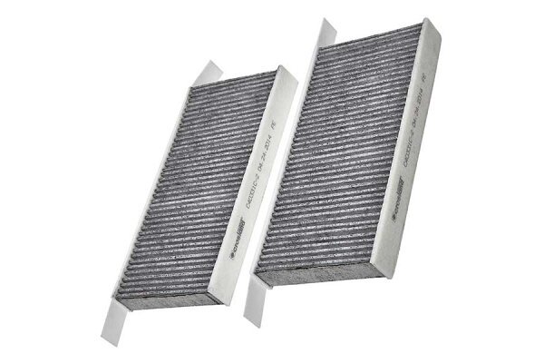 Filter kabine BS1987432500 - Renault Laguna 07- (dva komada)