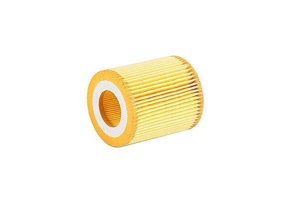 Filter ulja BS1457429248 - Opel Zafira B 05-12